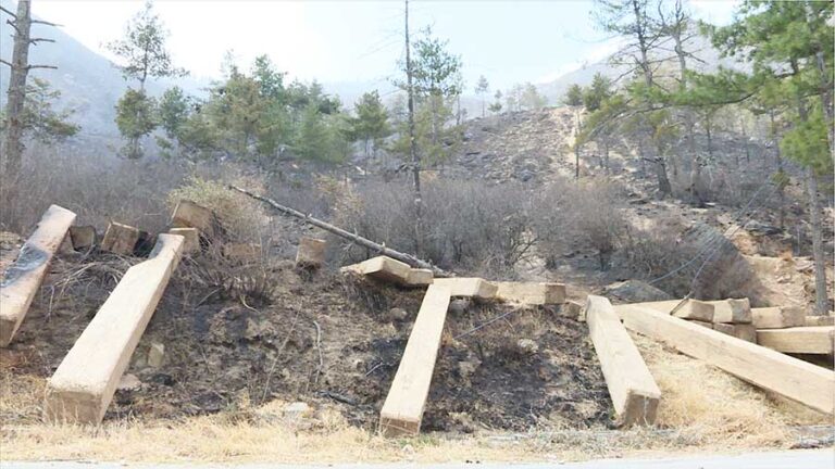 Fire in Chang Debsi claims three more lives | The Bhutan Live