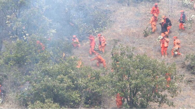 Fire in Chang Debsi claims three more lives | The Bhutan Live