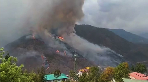 Rain helps to contain forest fire in Trashigang - BBSCL