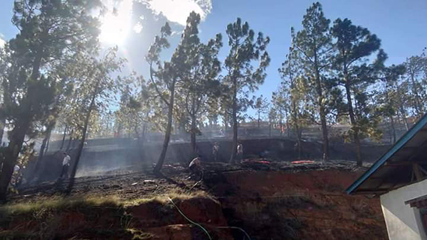 Pasakha Fire - BBSCL