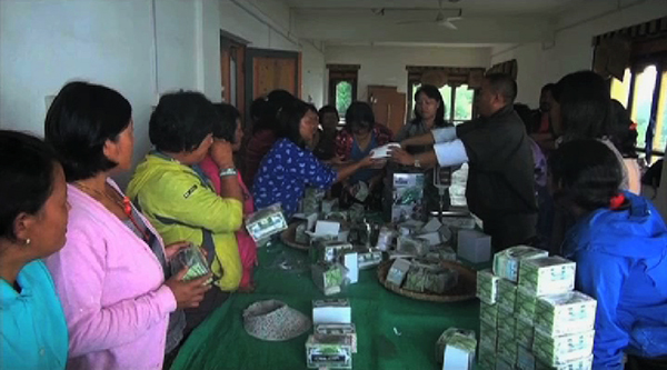 The green tea business of Samcholing - BBSCL