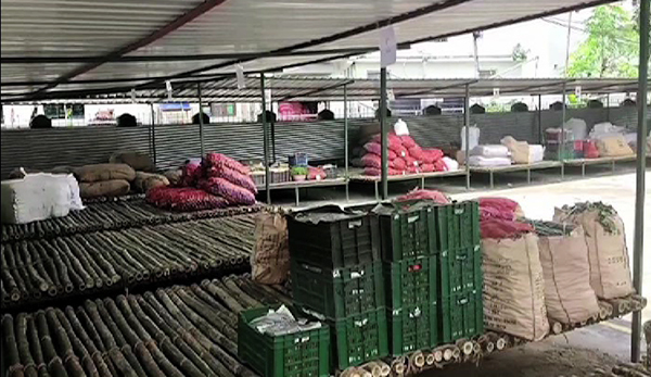 Import quarantine in Samdrup Jongkhar: An important preventive measure ...