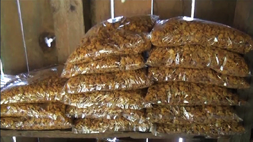 Farmers into Tengma business welcome lockdown relaxation in the gewogs ...