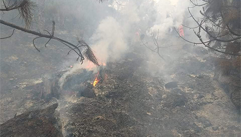 Forest fire in Chhubu Gewog contained after five days - BBSCL