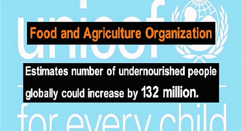 UN calls for a transformation of food systems in Asia and the Pacific ...