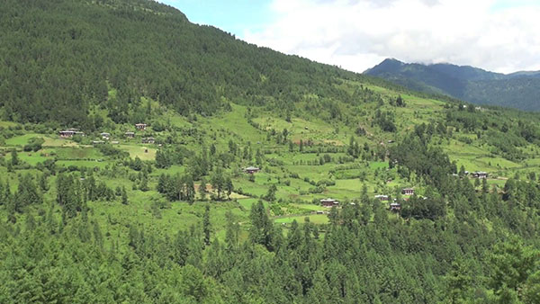Bumthang people want old rural timber allotment rule reinstated - BBSCL