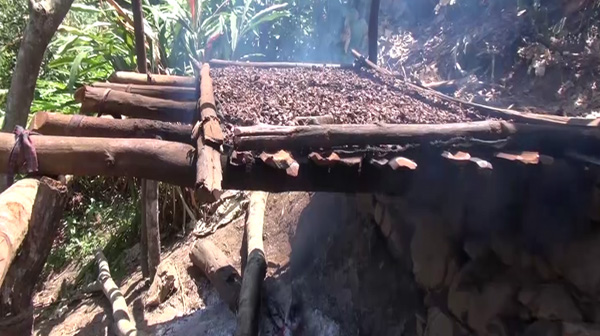 Cardamom growers wish for better dryer - BBSCL