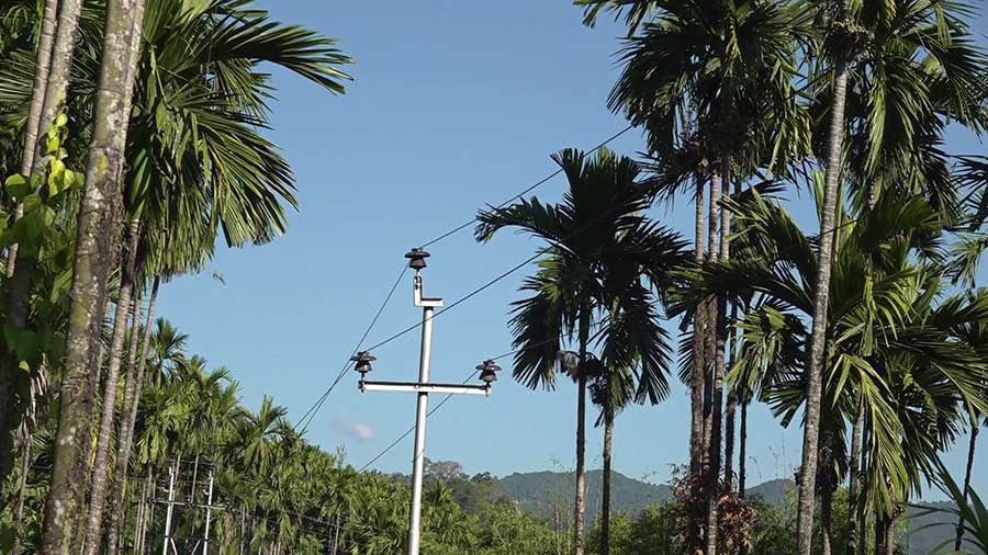 Electric poles and sagging power lines pose danger to residents - SJ ...