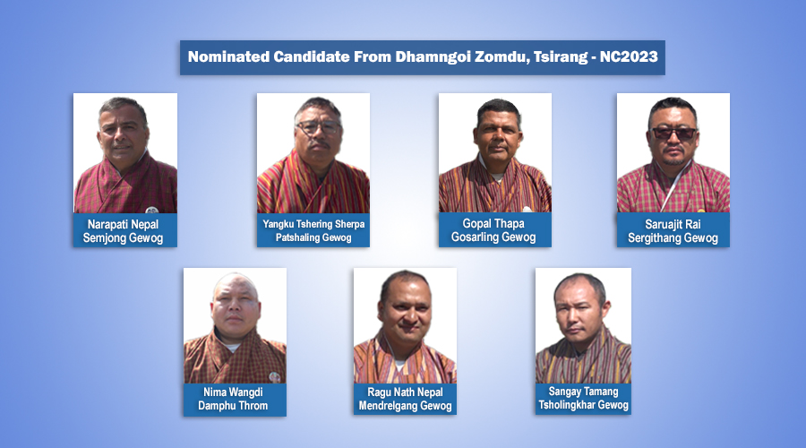 Tsirang nominates seven candidates for National Council elections - BBSCL
