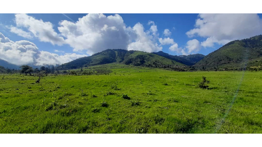 Works on Sephu Solar Power Project to begin by end of April, 2023 - BBSCL