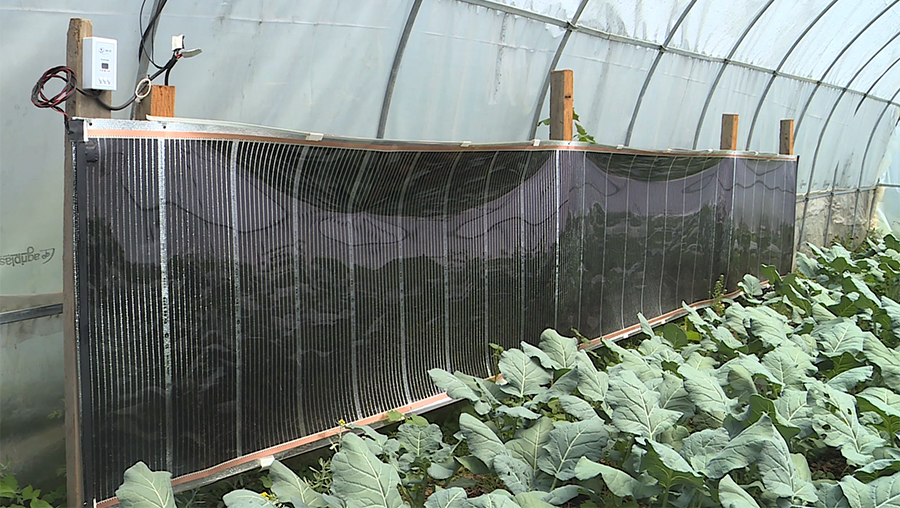 Gasa pilots infrared heating system in greenhouse to boost vegetable ...