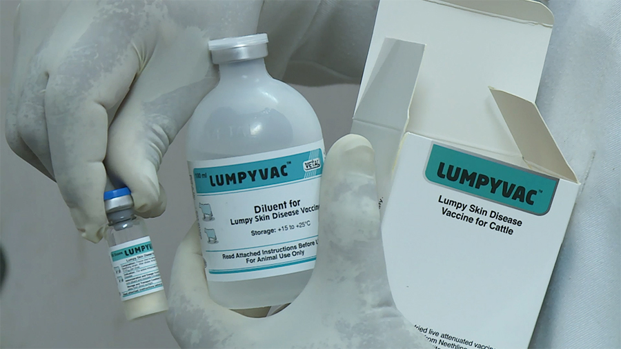 Country receives Lumpy Skin Disease vaccines - BBSCL