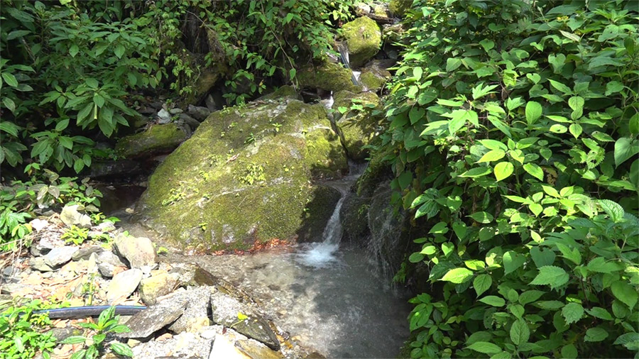 Drying water sources leave communities in Samdrup Jongkhar Thromde ...