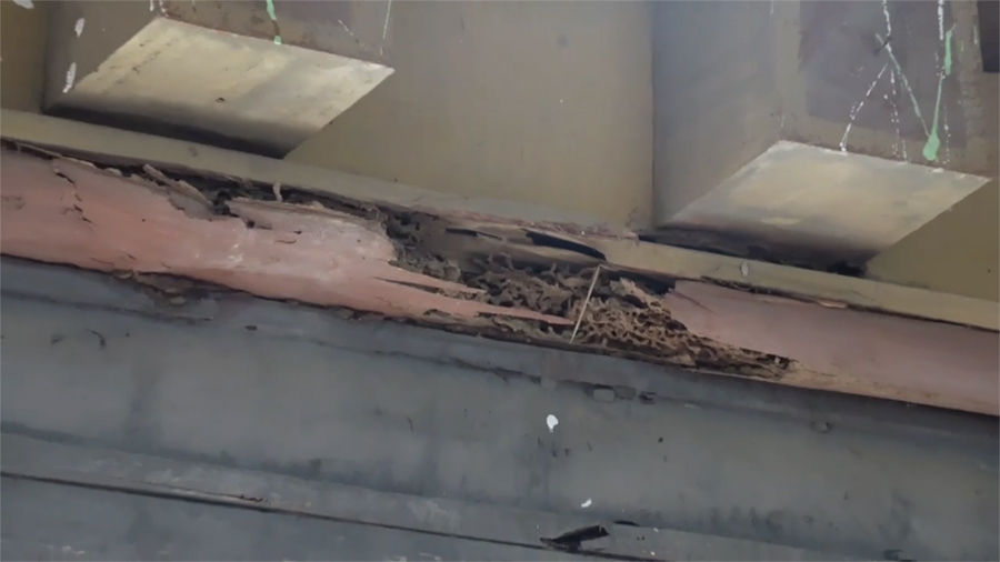 Termite infestation prompts relocation of Rangaytung Primary School ...
