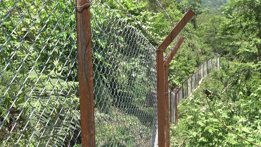 Chain-link fencing brings hope to farmers in Dagana - BBSCL