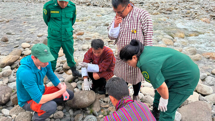 eDNA, new method to study presence of species in environment - BBSCL