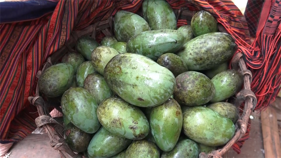 Pema Gatshel's mango growers face marketing challenges amid rising ...