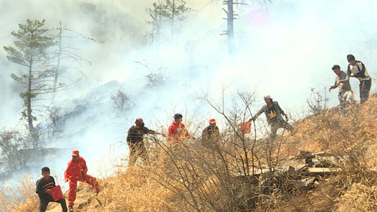 Recurring forest fire incidents spark safety concerns for firefighters ...