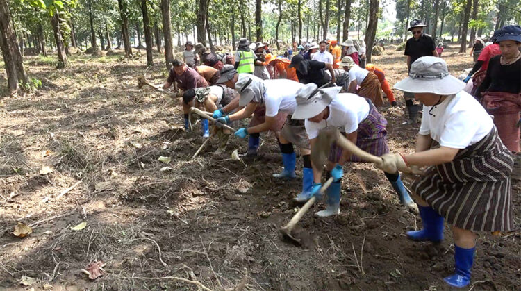 Rising volunteer spirit powers third phase of works in Gelephu ...